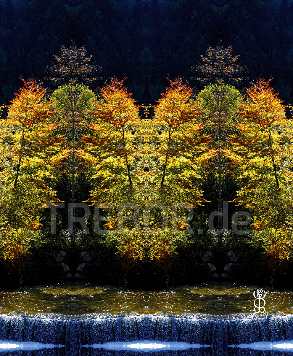 TREBOR – Tore in die Wunderwelt